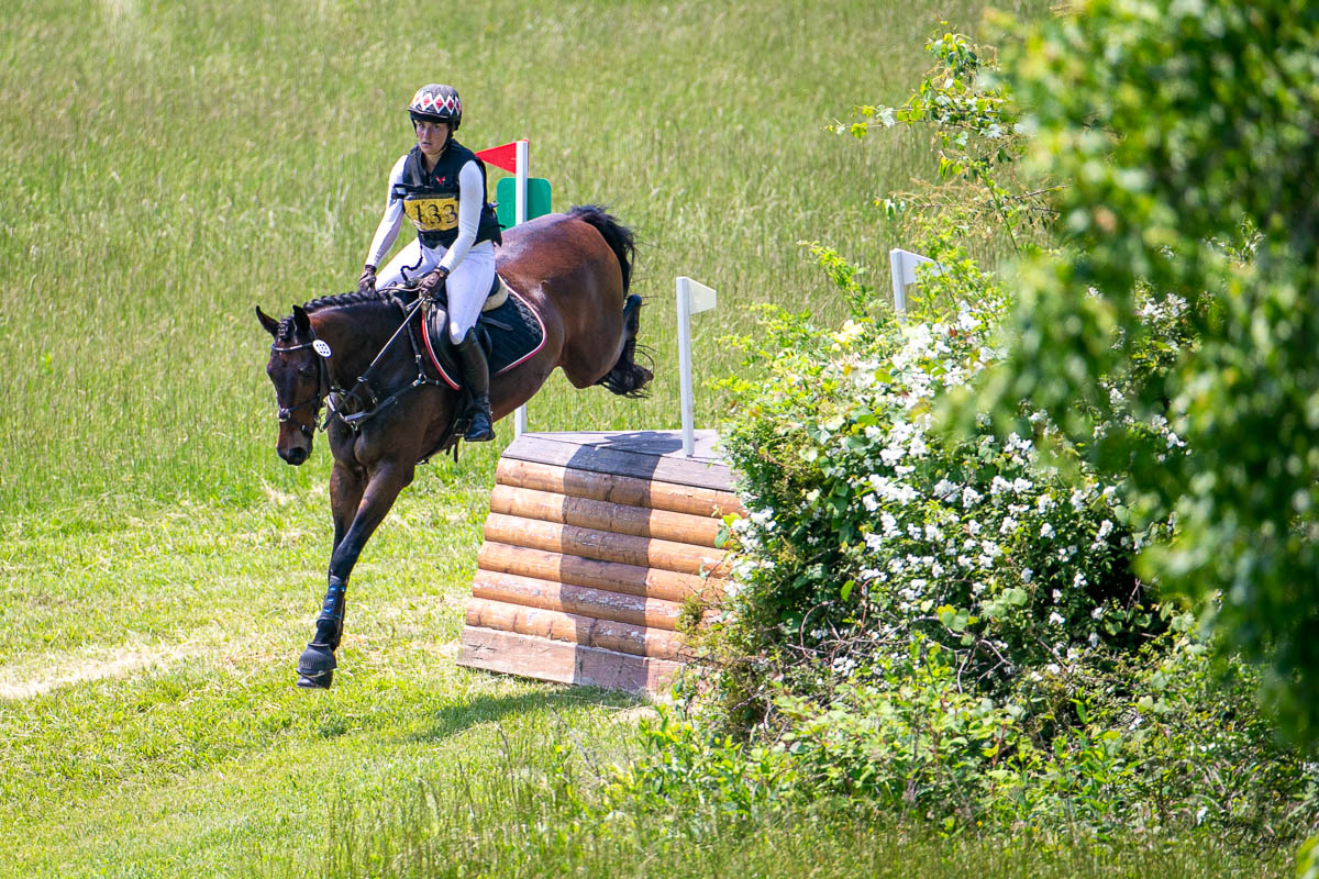 Services – Brooke Bayley Equestrian