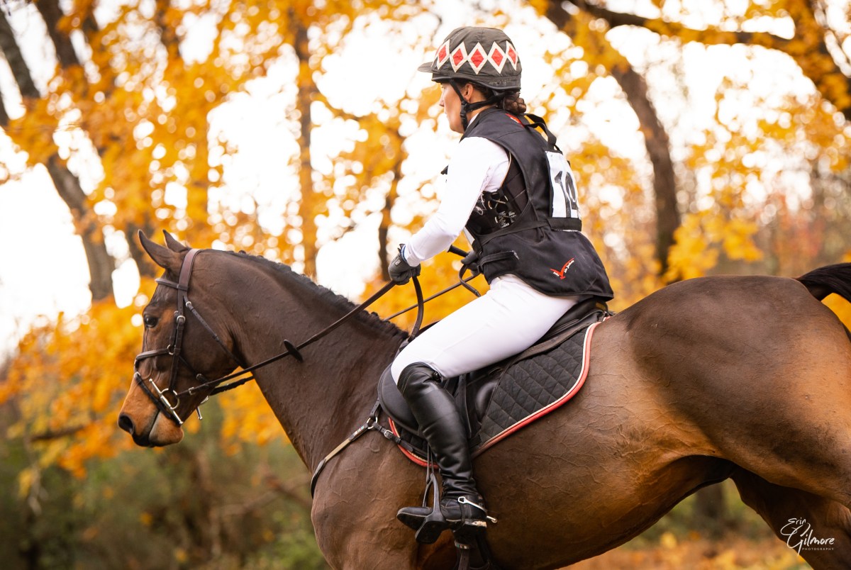 Contact – Brooke Bayley Equestrian