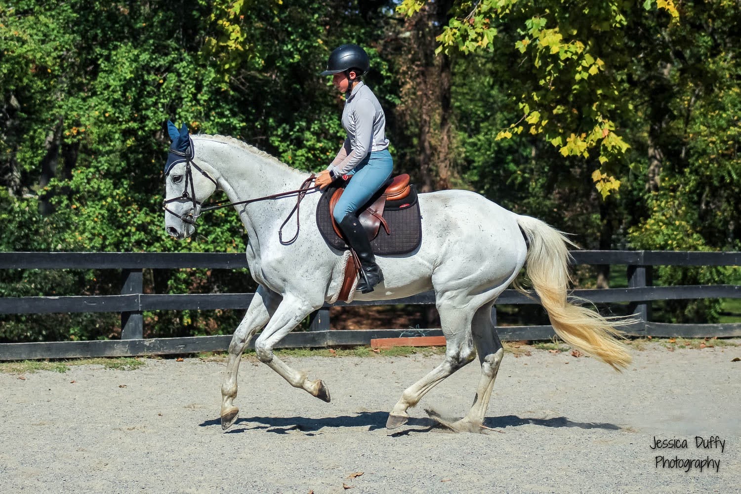 X Canter – Brooke Bayley Equestrian